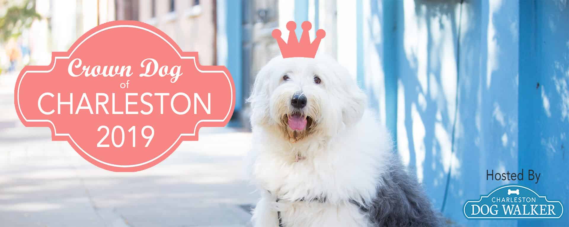 Crown Dog Header for CDW Website - small - Charleston Dog Walker