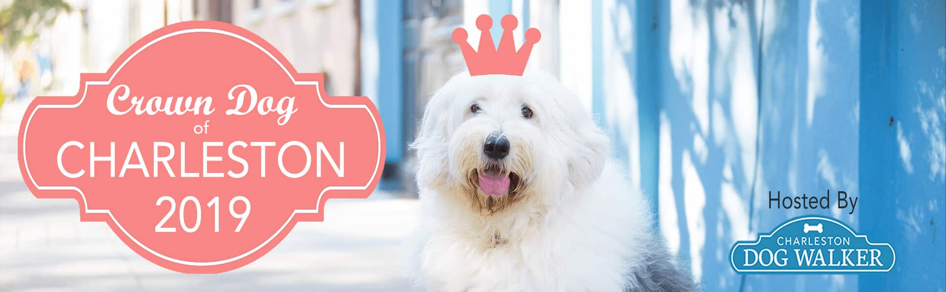 Crown Dog - Header NEW - Charleston Dog Walker